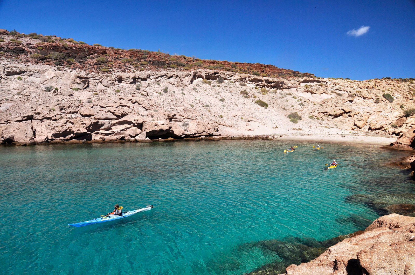 Escape a Espíritu Santo en kayak con Indômito